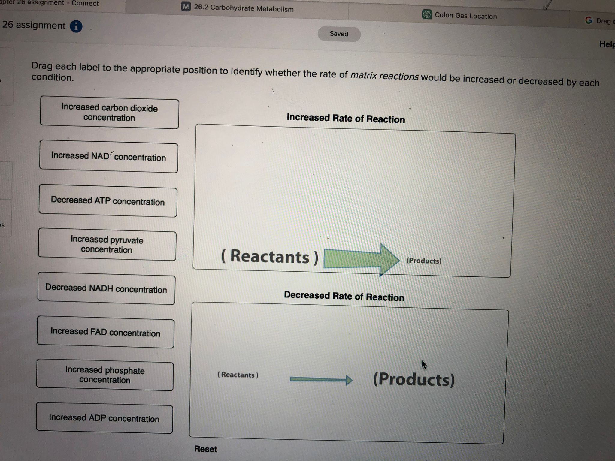 Solved Drag each label to the appropriate position to | Chegg.com