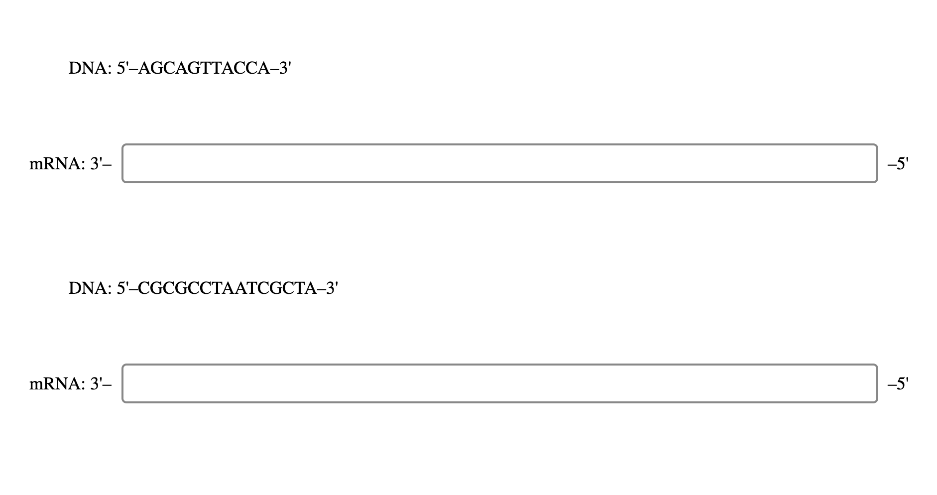 Solved Transcribe the given DNA sequences to mRNA. DNA: | Chegg.com