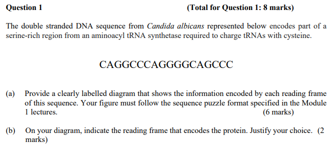 Solved The double stranded DNA sequence from Candida | Chegg.com