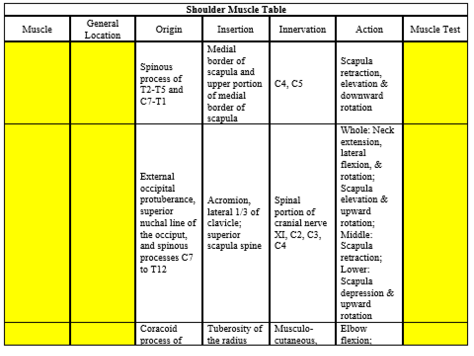Solved Shoulder Muscle Table Muscle General Location Origin | Chegg.com