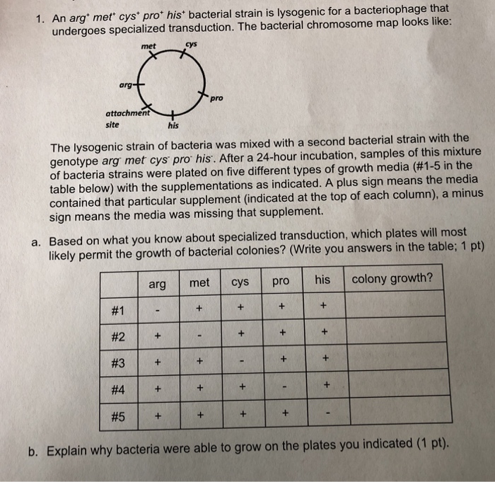 Solved 1. An arg' met' cys pro* his bacterial strain is | Chegg.com