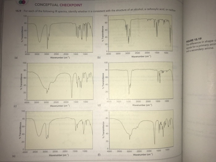 Solved CONCEPTUAL CHECKPOINT owing IR spectra, identify | Chegg.com