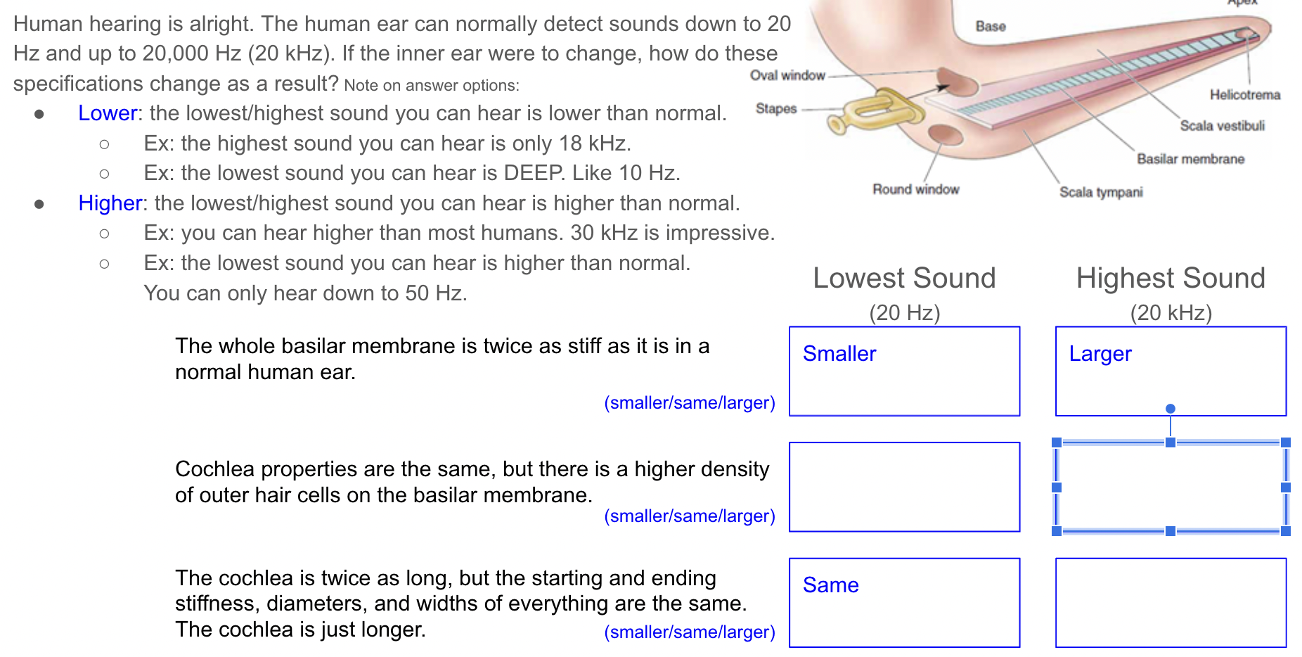 Human hearing is alright. The human ear can | Chegg.com