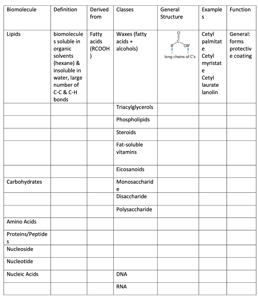 Fill in the blanks for the Biological Macromolecules | Chegg.com
