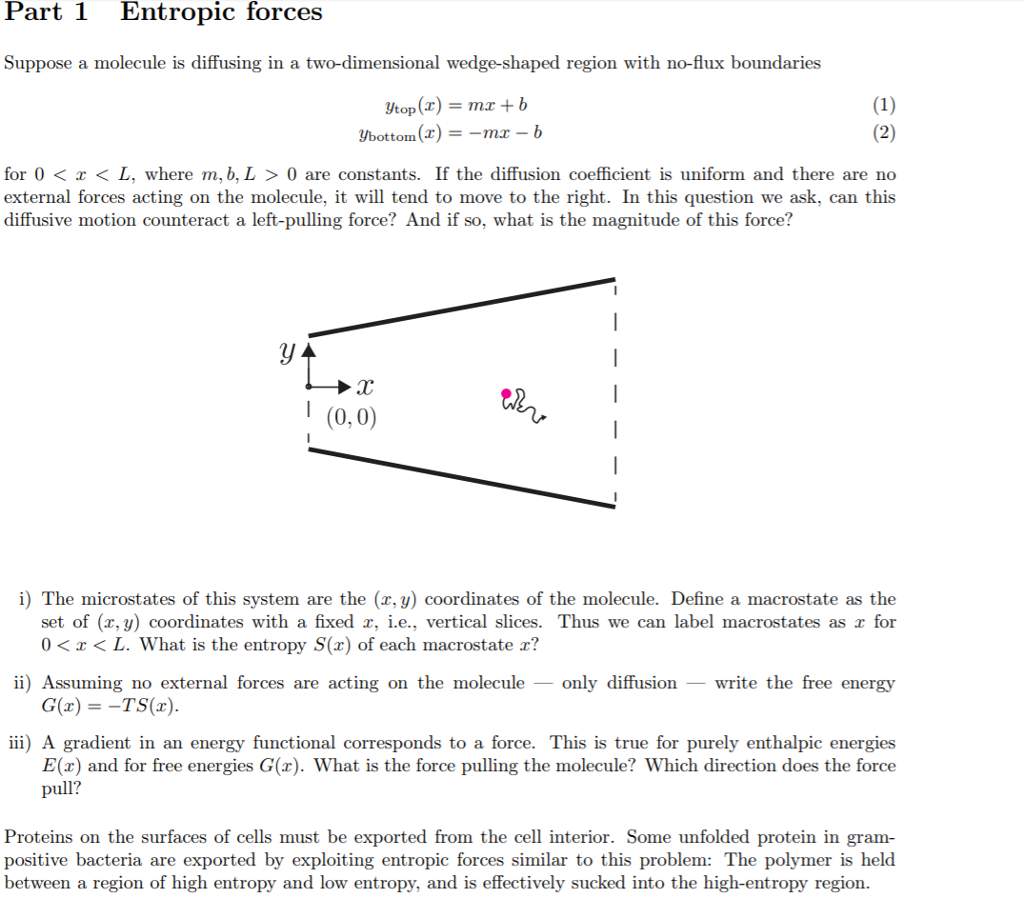 Part 1 Entropic forces Suppose a molecule is | Chegg.com