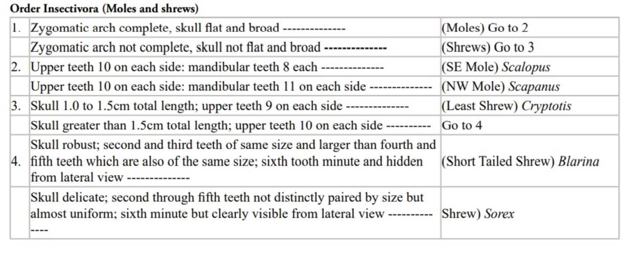 Order Insectivora (Moles and shrews) | Chegg.com