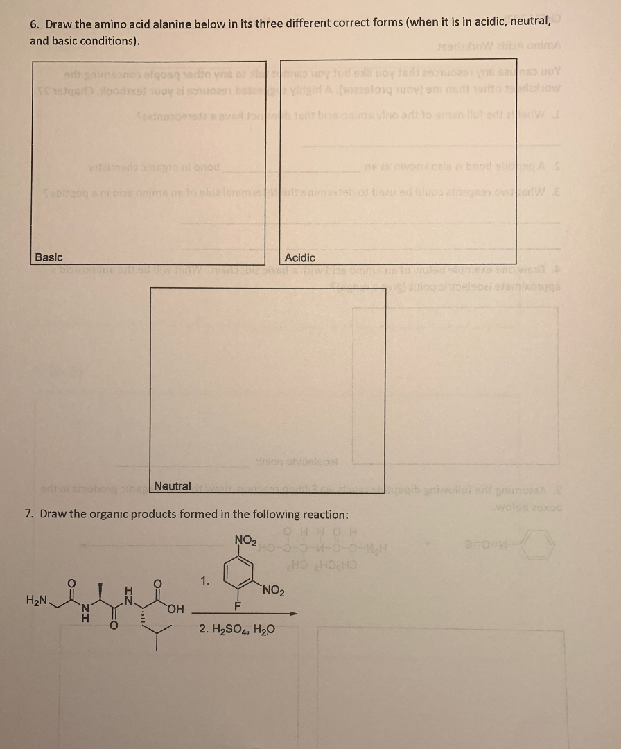 Solved 6. Draw the amino acid alanine below in its three | Chegg.com