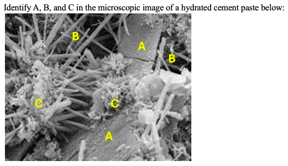 Solved Identify A, ﻿B, ﻿and C in the microscopic image of a | Chegg.com