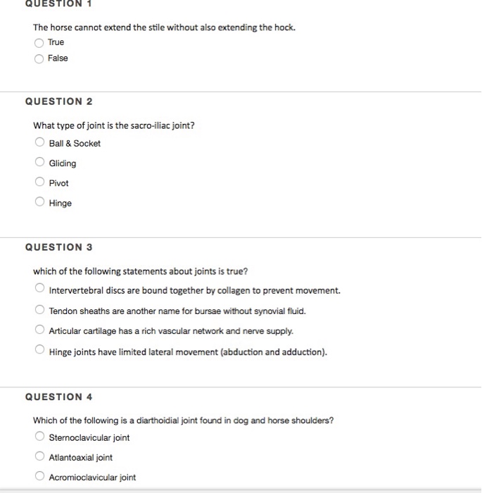 Solved QUESTION 1 The horse cannot extend the stile without | Chegg.com