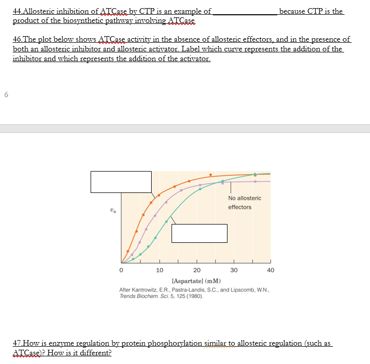 Solved because CTP is the 44.Allosteric inhibition of ATCase | Chegg.com