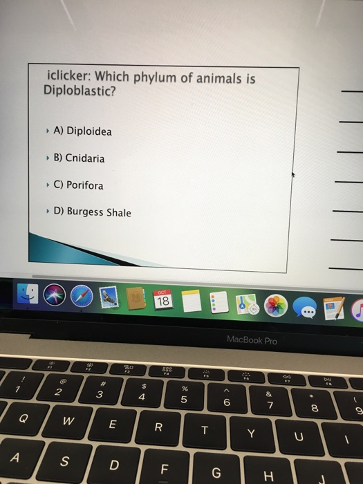 Solved iclicker: Which phylum of animals is Diploblastic? A) | Chegg.com