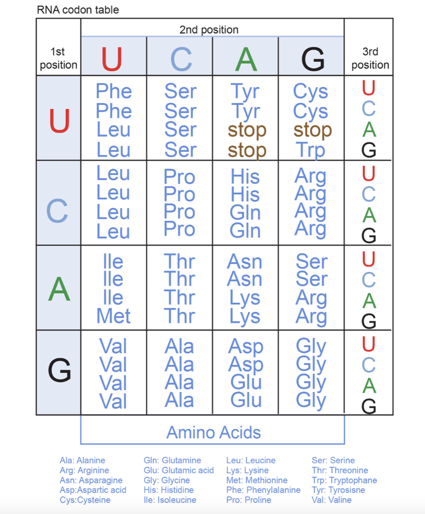 Solved Change Elijah Liam Location 1 ACC GCC Promoter 2 GTA | Chegg.com