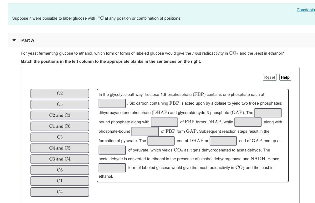 Solved onstants Suppose it were possible to label glucose | Chegg.com