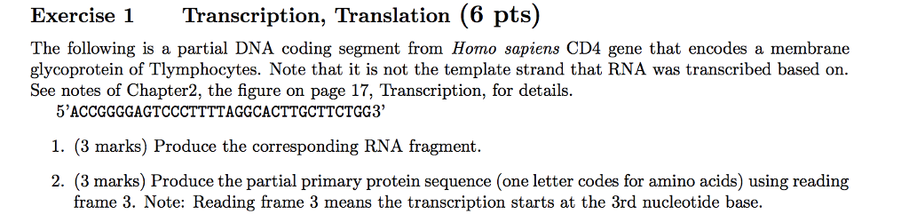 Solved Exercise 1 Transcription, Translation (6 pts) The | Chegg.com