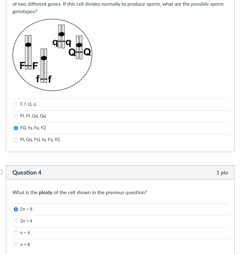 Solved u Question 2 1 pts GENETICS INTRODUCTION: Does this | Chegg.com
