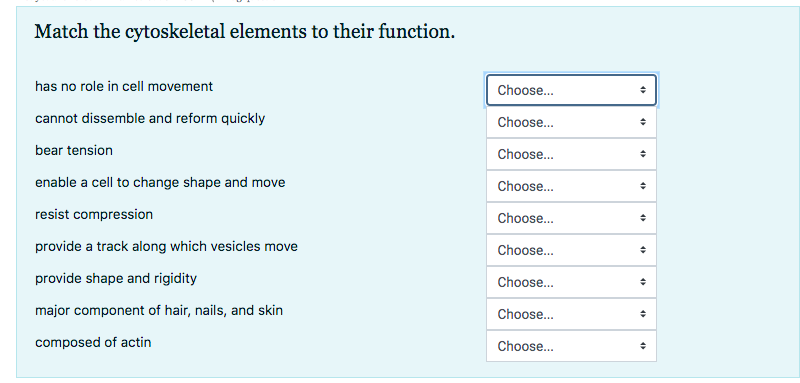 Solved Match the cytoskeletal elements to their function. | Chegg.com