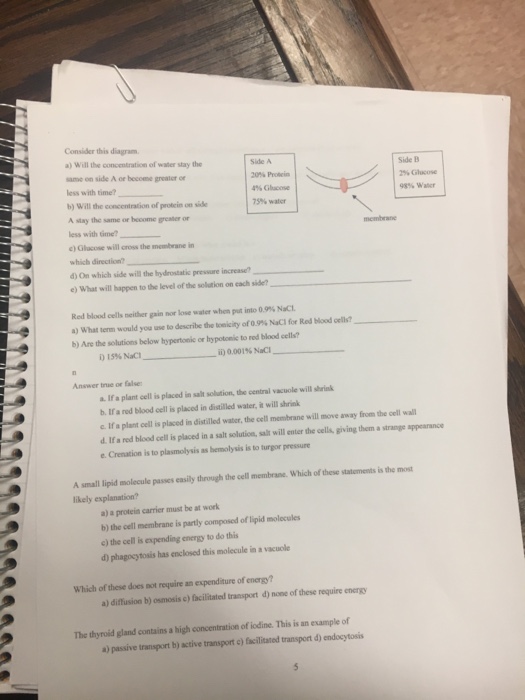 Solved isotonic huper onic means there is a GREATER | Chegg.com