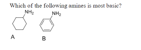 Solved Which of the following amines is most basic A or B? | Chegg.com