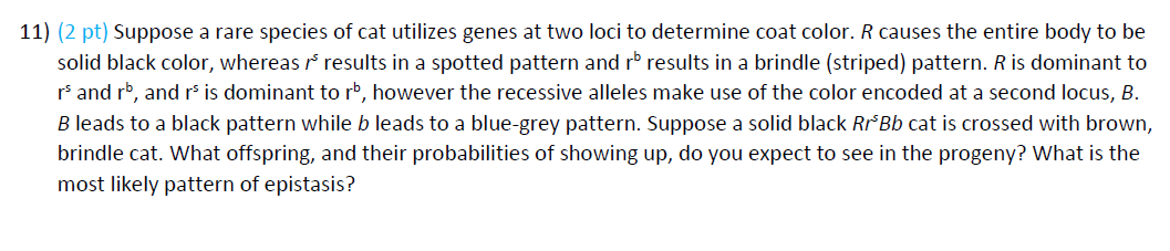 Solved 11) (2 pt) Suppose a rare species of cat utilizes | Chegg.com