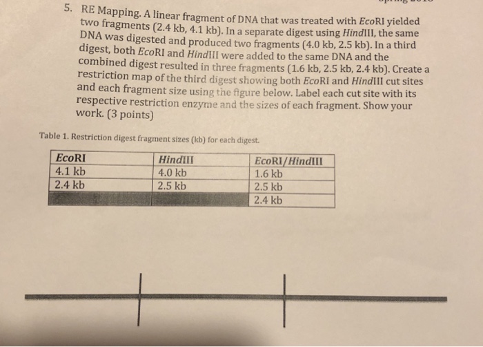 Solved 5. RE Mapping. A linear fragment of DNA that was | Chegg.com