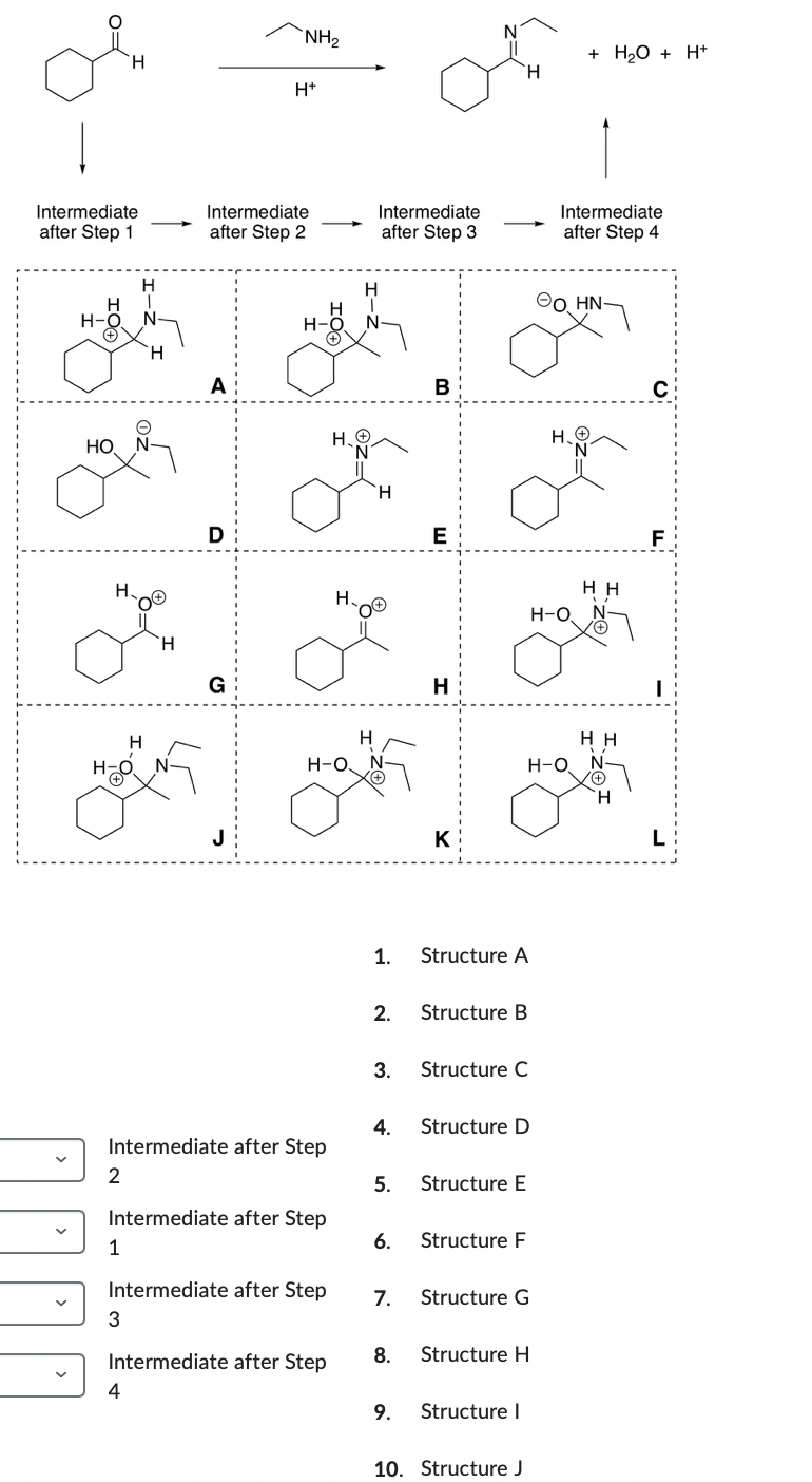 Solved Consider the following reaction. From the given | Chegg.com