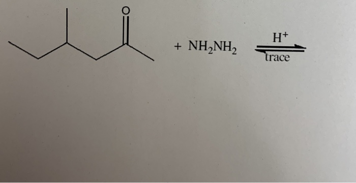 Solved + NH2NH2 trace | Chegg.com