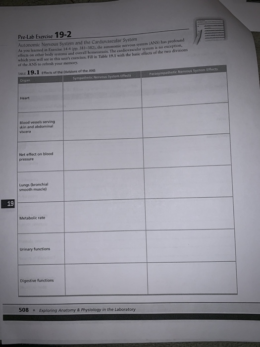 Solved Pre-Lab Exercise 19-2 Autonomic Nervous System and | Chegg.com
