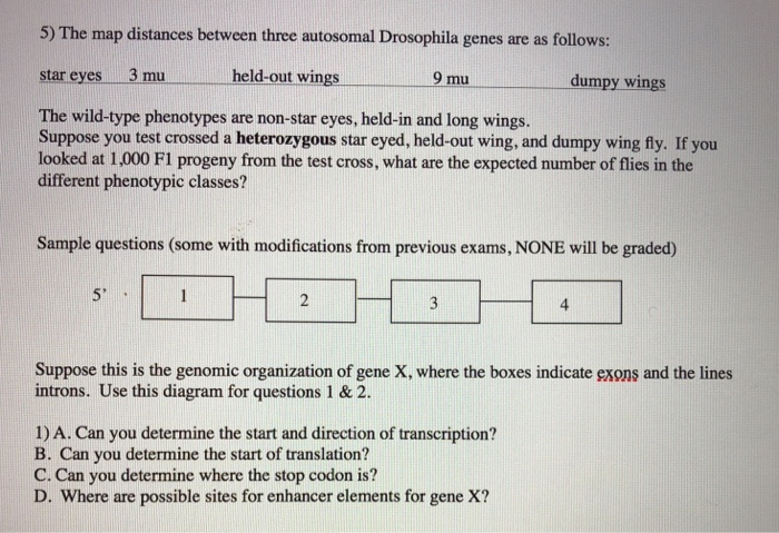 Solved 5) The map distances between three autosomal | Chegg.com