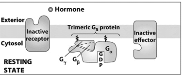 Solved Below you see a picture showing an inactive | Chegg.com