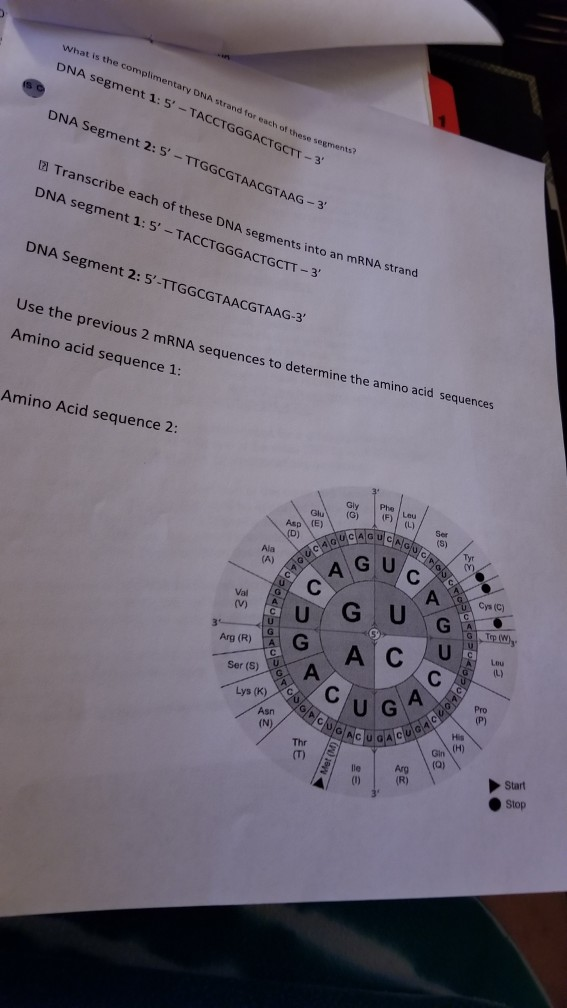 Solved all six questions: DNA complimentary 1. DNA | Chegg.com
