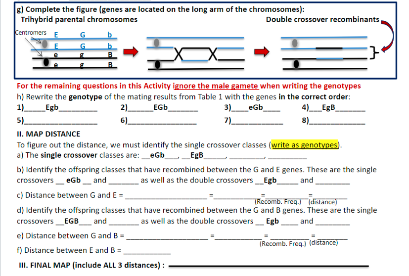 Solved Table 1. Test-cross progeny phenotypes \#s: 1) Tall, | Chegg.com