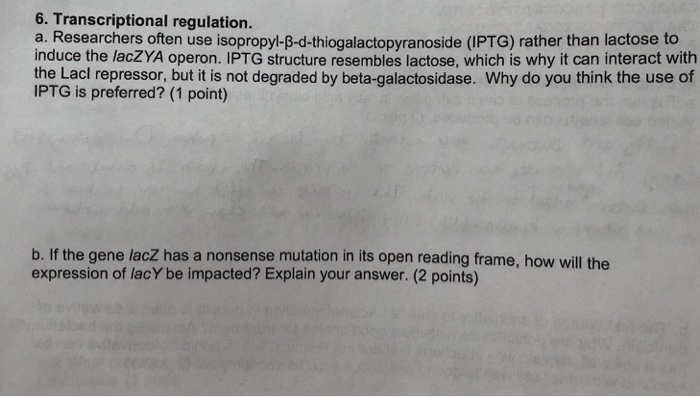 Solved 6. Transcriptional regulation. a. Researchers often | Chegg.com