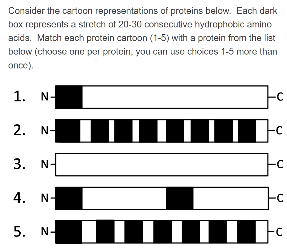 Solved Consider the cartoon representations of proteins | Chegg.com