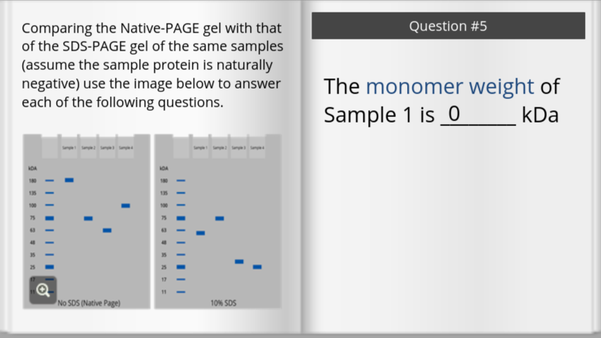 Solved Question #4 Comparing the Native-PAGE gel with that | Chegg.com