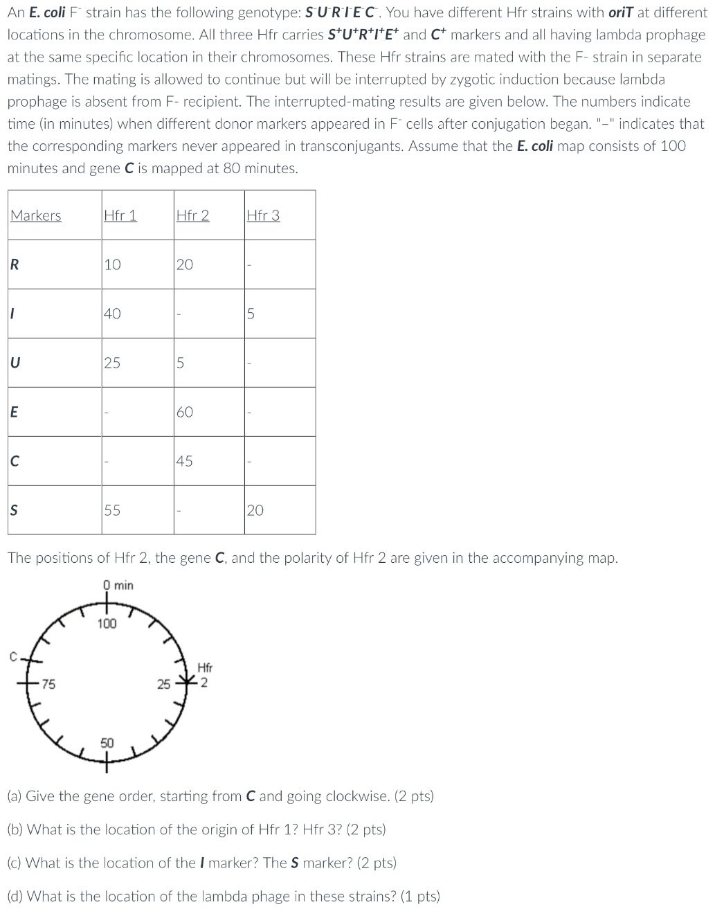 Solved An E. ﻿coli F-strain has the following genotype: | Chegg.com
