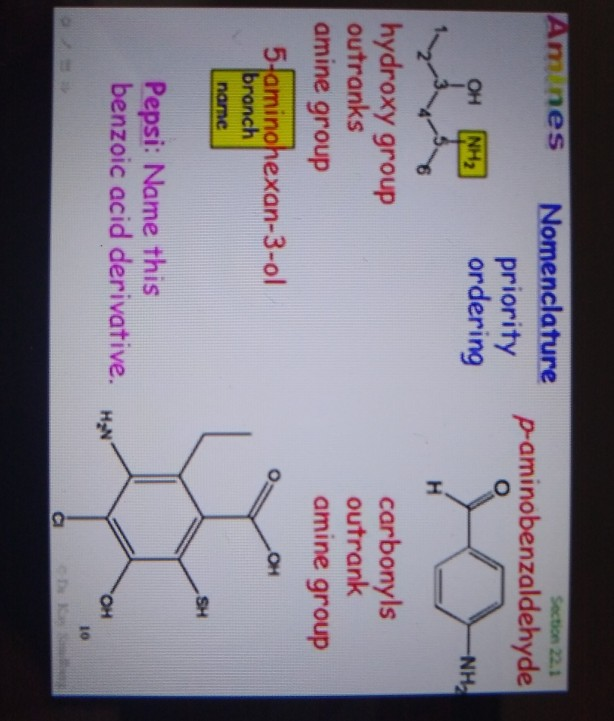 Solved Amines Section 22.1 Nomenclature p-aminobenzaldehyde | Chegg.com