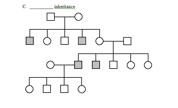 Solved Question 4 (5 points). Based on the | Chegg.com