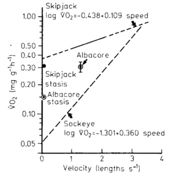 Solved Using a paragraph, explain the following graph in | Chegg.com