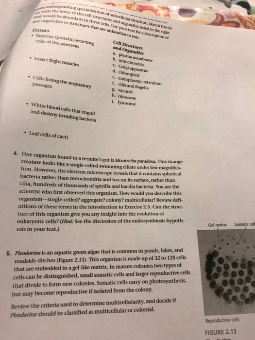 Solved lization of subcellular structure. Match the tis- | Chegg.com