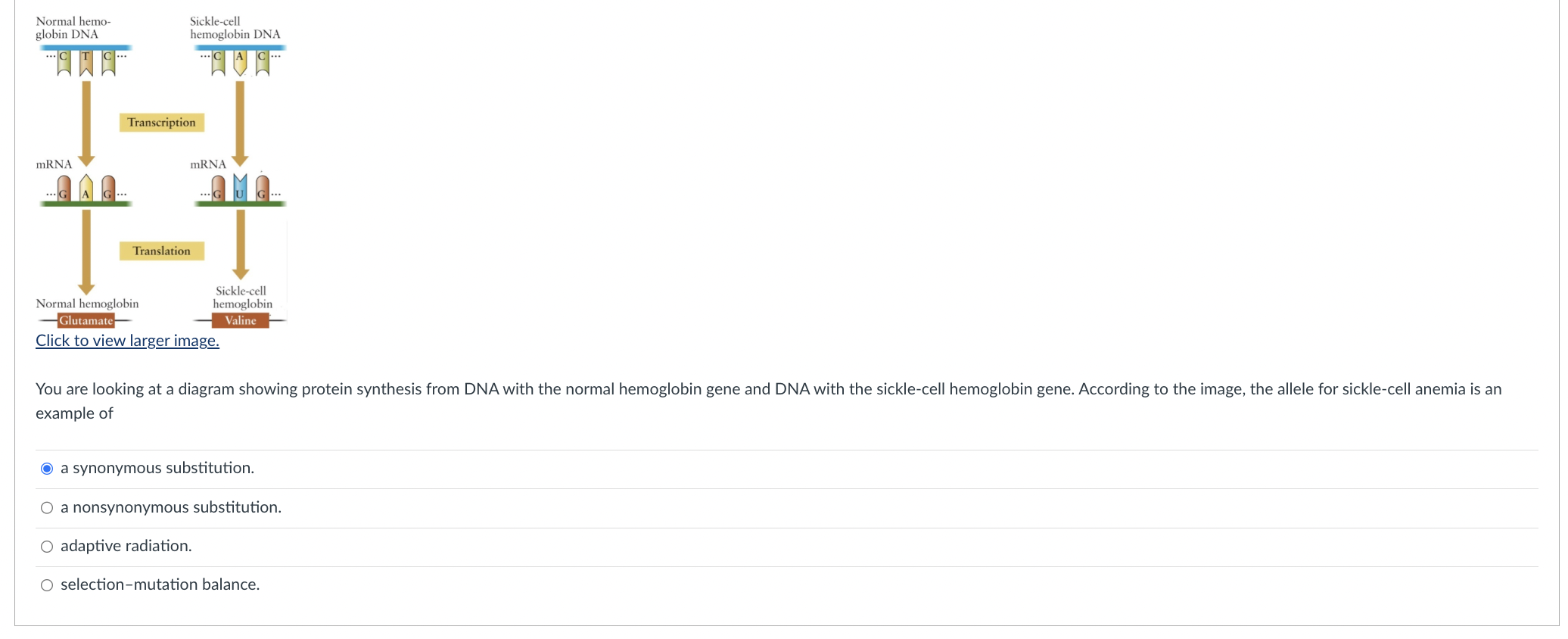 Solved example of a synonymous substitution. a nonsynonymous | Chegg.com