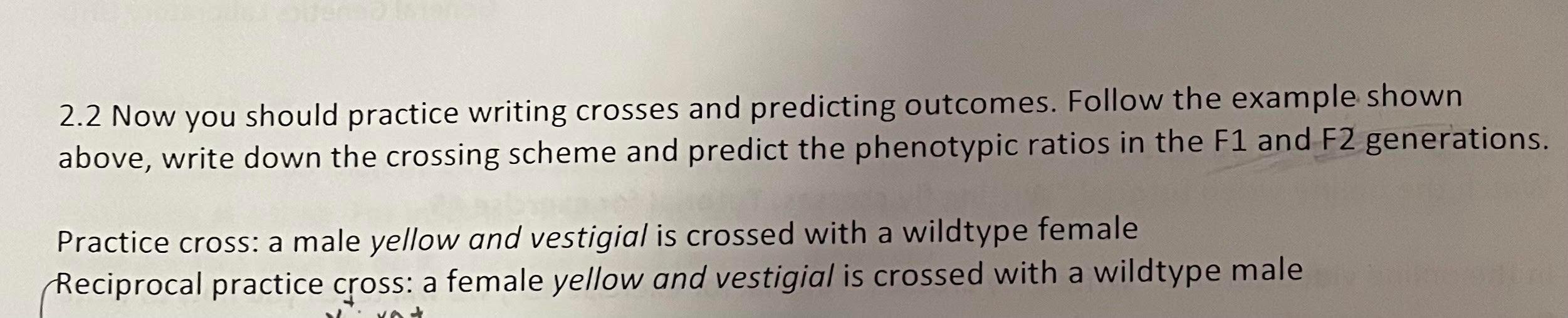 2.2 Now you should practice writing crosses and | Chegg.com