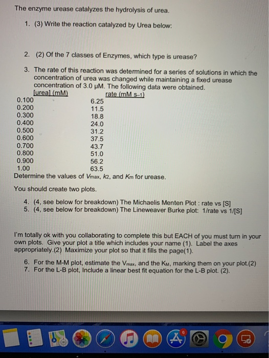Solved The enzyme urease catalyzes the hydrolysis of urea. | Chegg.com