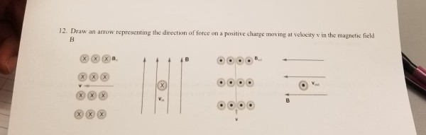 Solved 12. Draw an arrow representing the direction of force | Chegg.com