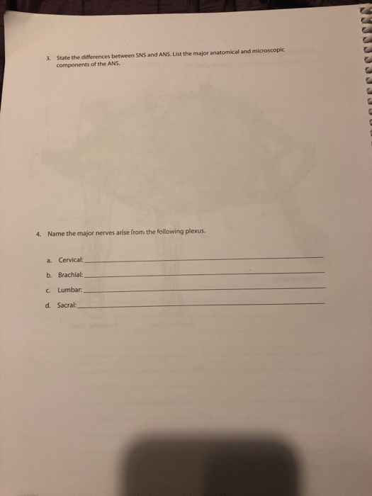 Solved 3. State the differences between SNS and ANS. List | Chegg.com