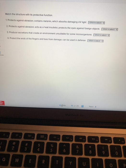 Solved Match the structure with its protective function. 1. | Chegg.com