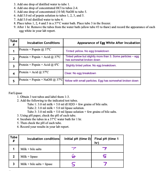 Starch/Amylase 1. Label four clean test tubes 1-4. | Chegg.com