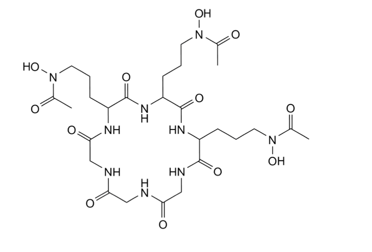 Solved 1. a. Below is the structure of a siderophore. | Chegg.com