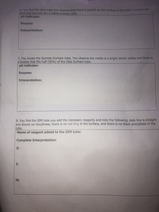Solved 6. You find the Urea tube and observe that there is | Chegg.com