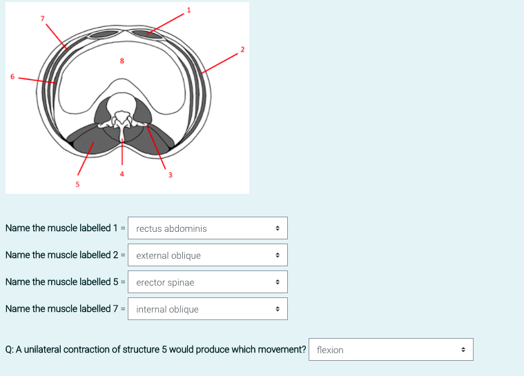 Solved As the figure moves from standing (Diagram 1) to | Chegg.com