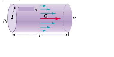 Solved Flow in a pipe is incompressible, viscous the way it | Chegg.com